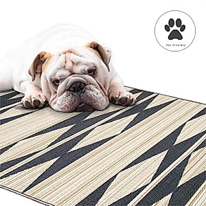 Fab Habitat Outdoor Rug - Waterproof, Fade Resistant, Crease-Free - Premium Recycled Plastic - Geo Tribal - Porch, Deck, Balcony, Mudroom, Laundry Room, Patio - Cairo - Natural & Black - 3 x 5 ft