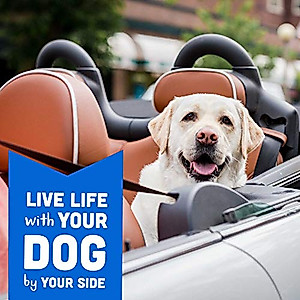 Cloud Star Wag More Bark Less Crunchy Dog Treats Baked in The USA, Oats & Grains, Bacon, Cheese & Apples 3 lbs. (Packaging May Vary)