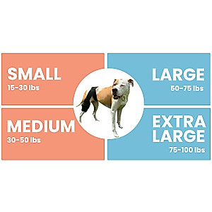 Labra Dog Canine K9 Hot Cold Ice Heat Therapy Knee Wrap for ACL MCL CCL Patella Injuries Sprain Strain Arthritis Senior Dog