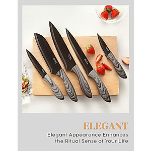 EUNA 9 Piece Kitchen Knife Set, Sharp Chef Knives Stainless Steel Cooking Knife Set (Included : 5 PCS Kitchen Knife Set and 4 PCS Steak Knife Set with 2 Gift boxs)