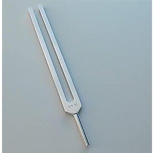 SWB 256 Tuning Forks 174 Hz Tuning Fork Unweighted