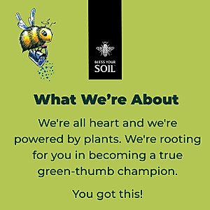 Fiddle Leaf Treats : Plant Food for Fiddle Leaf Fig Fertilizer for Ficus | 3-1-2 Ratio + Sea Kelp | 4X More Active | Instant Feed