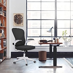 Desk Chair Ergonomic Office Chair Breathable Mesh Chair High-Back Computer Chair with Adjustable Height Headrest Flip-Up Arms and Lumbar Support Executive Rolling Swivel Black