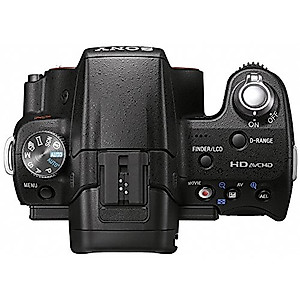 Sony Alpha SLTA33L DSLR with Translucent Mirror Technology and 3D Sweep Panorama (Black)