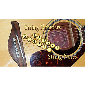 Acoustic & Electric Guitar Beginning Lessons