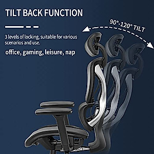 GABRYLLY Office Chair, Large Ergonomic Desk Chairs, High Back Computer Chair with Lumbar Support, 3D Armrest, Breathable Mesh, Adjustable Headrest, with Tilt Function, (Grey)29.5D x 40.9W x 51.2H Inch