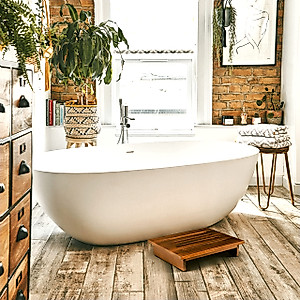 Holana 3.5" One Step Stool for Adults - Step Stools for Bed - Indoor/Outdoor - 550 lbs Safety Stepping Stool Bathroom for Handicap, Elderly, Seniors, Kid, Bathtub, High Beds, Kitchen (Acacia Wood)