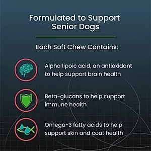 Nutramax Dasuquin Joint Health Supplement for Large Senior Dogs – for Immune Support, Skin & Coat Health, and Brain Health, 84 Soft Chews