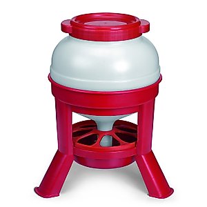 Little Giant® Plastic Dome Feeder | Heavy Duty Plastic Gravity Fed Poultry Feed Container Tank | Backyard Poultry for Hobbyists, Farmers and Ranchers | 35 LB