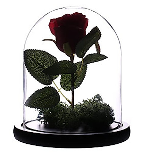 Artlass Glass Cloche Bell Jar Display Dome with Black Wooden Base 6" x 7"