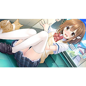 ラブクリア　完全生産限定版 - PS4 (【特典】描き下ろしタペストリー「英梨と小羽の南国リゾートで心も体も開放B2タペストリー」、特製イラスト色紙「律とひまりの仲良し色紙」、オリジナルサウンドトラック「C MUSIC」、アクリルキーホルダー「ひまりのちまっとアクリルキー