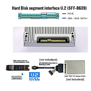 Cablecc NGFF M-Key NVME to U.2 U2 Kit SFF-8639 to SFF-8654 Slimline SAS PCIe SSD Adapter for Mainboard