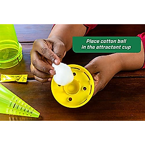 RESCUE! Reusable Yellowjacket Trap - 2 Pack + 2 Four-Week Refills