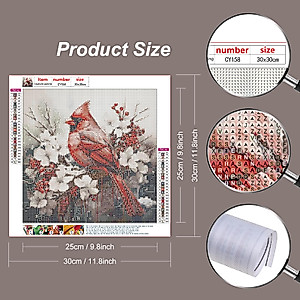Stalente Diamond Painting Kits for Adults, Cardinal 5D DIY Diamond Art Kits for Beginners Round Full Drill Diamond Painting for Home Wall Decoration Gift 12×12inch, Birds