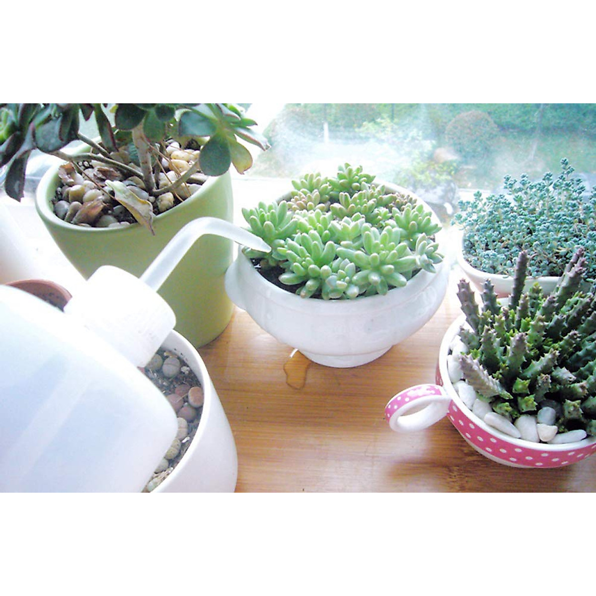 2Pcs 150ml Plastic Safety Wash Bottle Translucent Plastic Squeeze Measuring Bottle Narrow Mouth Empty Bent Tip Storage Containers For Gardening Lab Tattoo (150ml/5oz)