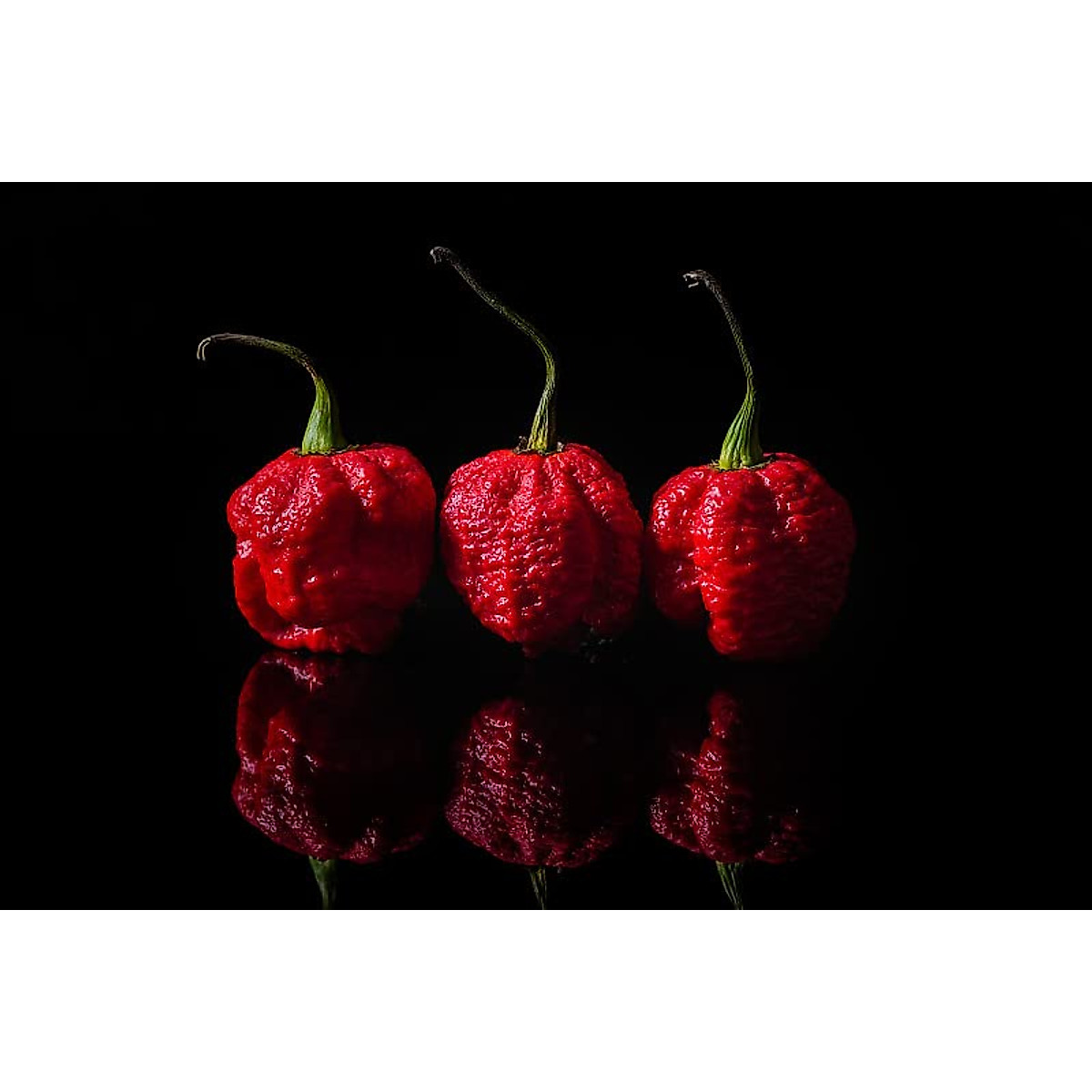 Bobby Courtyard Carolina Reaper Seeds | 200 Carolina Reaper Seeds for Planting | Non GMO Hottest Pepper Seeds