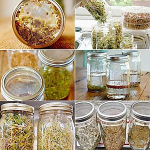 304 Stainless Steel Sprouting Lids for Wide Mouth Mason Jars and Making Organic Sprout Seeds 6 Pcs