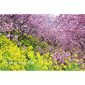 Canon EOS 80D lens kit EF-S18-135mm F3.5-5.6 IS USM--(Japan Import-No Warranty)