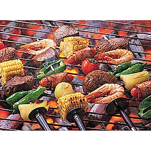 Xicennego Portable Charcoal Grill Outdoor Grill With Handle Foldable BBQ Grill For Picnic Beach Terrace Backyard Barbecue(Large)