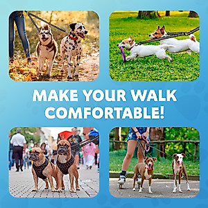 Double Dog Leash – Adjustable Length Long Leash for Dog Training – Dual Reflective Dog Leash with Non-Tangle Design – Heavy Duty Nylon and Metal Buckles – Ideal (Black, Large)