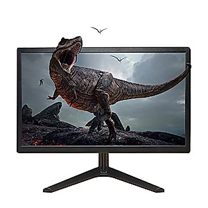RAYPODO 18.5 inch PC Monitor with VGA Monitor (Black), RPD-1850