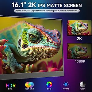 Feiasia Portable monitor 2K 144Hz 16.1 Inch 2560X1440P Portable Gaming Monitor QHD FreeSync 100% sRGB HDR Ultra Slim For Laptop Travel Monitor External Screen PC Xbox PS4-5 Switch With Smart Cover