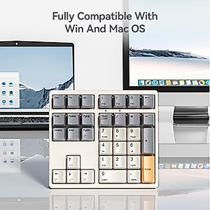 Mechanical Number Pad,34 Key Wired USB Numeric Keypad White Backlit Hot Swappable Numpad with PBT Keycaps for Laptop, MacBook,PC Desktop (Retro Beige,Brown Switch)
