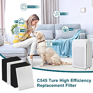 C545 True High Efficiency Replacement Filter S Compatible with Winix C545 Replacement for Winix S Filter Part 1712-0096-00 and 2522-0058-00, 2 x True Filter + 8 x Activated Carbon Pre-Filter