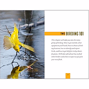 North American Bird Watching for Beginners: Field Notes on 150 Species to Start Your Birding Adventures