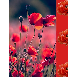 Calendar 2024 | I LOVE Flowers | FLOWER PLANER 2024| A personal organizer for flower lovers