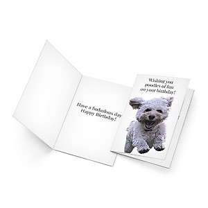 Prime Greetings Funny Dog Birthday Card Pun With Poodle, Made in America, Eco-Friendly, Thick Card Stock with Premium Envelope 5in x 7.75in, Packaged in Protective Mailer