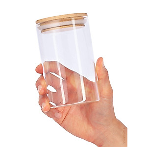 (2 Pack) 16 oz Clear Glass Home Storage Kitchen Jar with Wood Bamboo Lid