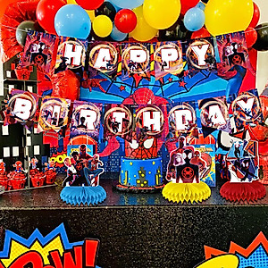 Birthday Party Supplies, Birthday Decorations Set Include Birthday Banners,Hanging Swirls and Honeycomb Centerpiece for Party Decorations