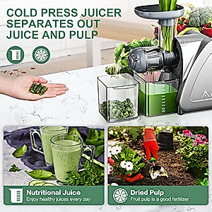 Cold Press Juicer, Aobosi Slow Masticating Juicer Machines with Reverse Function, Quiet Motor, High Juice Yield with Juice Jug & Brush for Cleaning, Gray