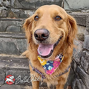 Fromm Gold Large Breed Adult Dry Dog Food, 5-Pound Bag