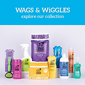 Wags & Wiggles Freshen Deodorizing Wipes for Dogs | Eliminate Odors from Your Dog's Coat | Fresh Strawberries, 100 Count | Easy and Convenient Way to Freshen Your Pet Without A Bath, FF12825