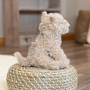 DEMDACO Chorkie Mix Rescue Breed Dog Soft Brown 10 inch Plush Fabric Stuffed Figure Toy