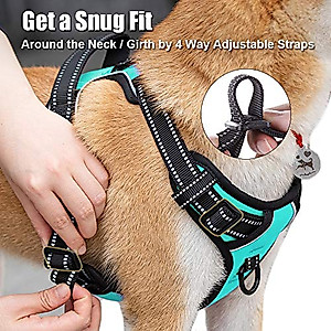 PoyPet No Pull Dog Harness, Reflective Comfortable Vest Harness with Front & Back 2 Leash Attachments and Easy Control Handle Adjustable Soft Padded Pet Vest for Small to Large Dogs (Mint Blue,M)