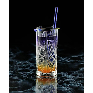 RCR 25766020006 Melodia Crystal Hi-Ball Cocktail Water Tumbler Glass, 23 x 15.5 x 15.5 cm, Clear