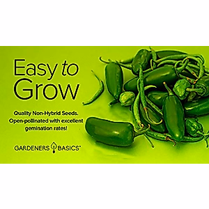 Jalapeno Pepper Seeds for Planting Heirloom Non-GMO Jalapeno Peppers Plant Seeds for Home Garden Vegetables Makes a Great Gift for Gardeners by Gardeners Basics