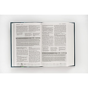 NLT One Year Chronological Study Bible (Softcover)