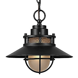 Liam 1-Light Outdoor/Indoor Pendant, Black, Matte Finish,44166