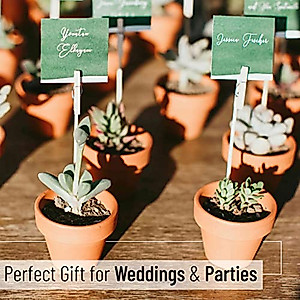 Mr. Pen- Mini Terracotta Clay Pots, 1.7", 8 pcs, Clay Pots for Plants, Small Terracotta Pots, Terracotta Planter, Small Clay Pots, Plant Pots with Drainage Holes, Clay Flower Pots, Terra Cotta Pots