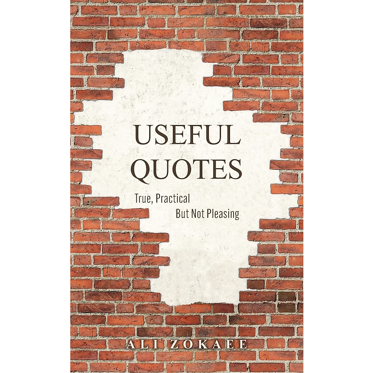 Useful Quotes: True, Practical But Not Pleasing