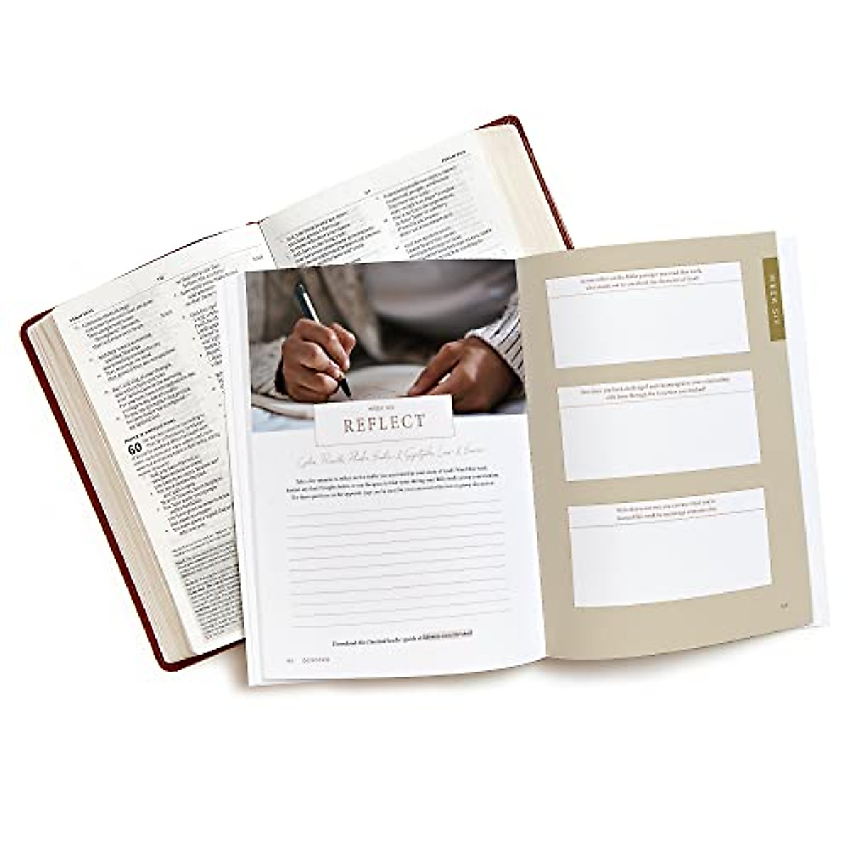 Devoted: 30 Days with Women of the Bible - Devotional Bible Study for Women