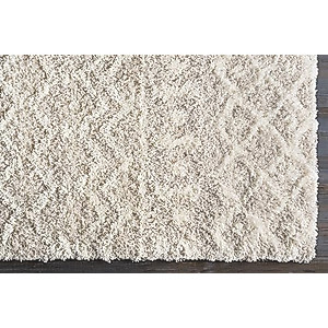 Livabliss Hapsburg Moroccan Shag Area Rug,12' x 15',Beige