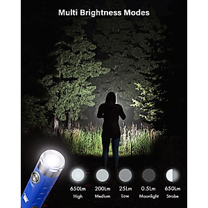 RovyVon Aurora A1 G4 USB C Rechargeable Mini Flashlight, Super Bright Keychain Flashlight 650 High Lumens Small EDC Flashlight Keychain Light with Clip for Camping, Hiking, Emergencies (Blue)