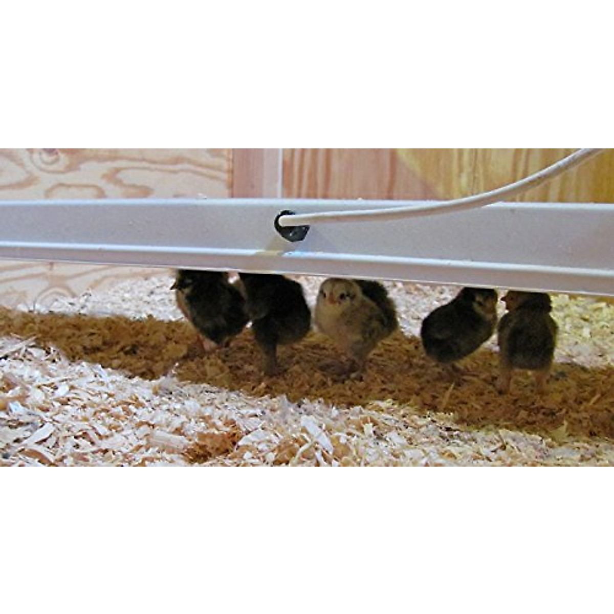 SWEETER HEATER Infrared Heater for Chicks & Pets, Flush Mount 11x40, 150 Watt