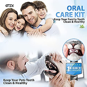 Dental Tools, Dental Pick, Plaque Remover [6 Pack] for Teeth Cleaning Kit , Tooth Cleaner, Tartar Remover - Dentist Kit