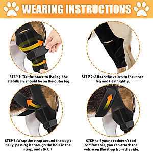 tisueteyi Dog Leg Braces for Front and Back Torn ACL Hind Leg, Rear Leg Joint Care Injury Support for Dogs Luxating Patella, Dog Arthritis, Hip Dysplasia, Adjustable Dog Acl Brace Size M